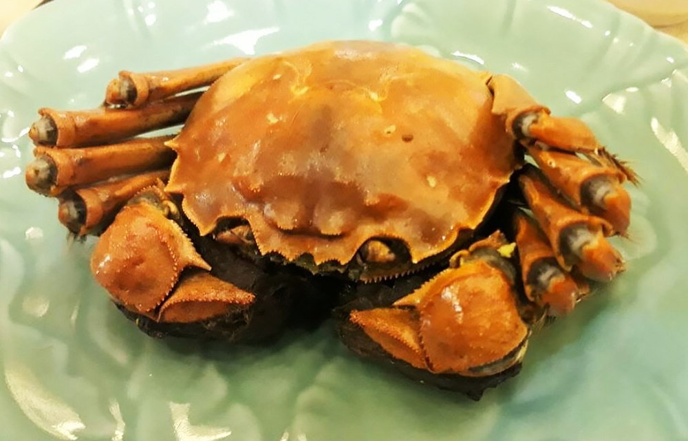 Chinese Mitten Crab | Traditional Crab Dish From Shanghai, China