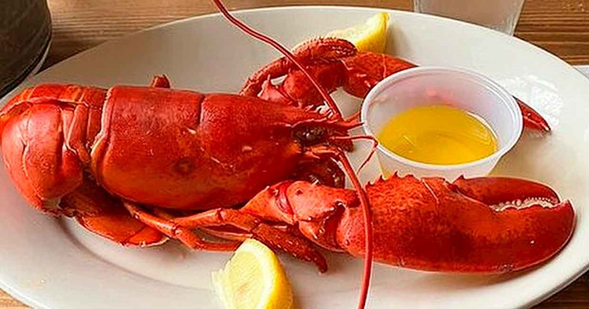 Boiled Maine Lobster In Robert's Maine Grill | TasteAtlas | Recommended ...