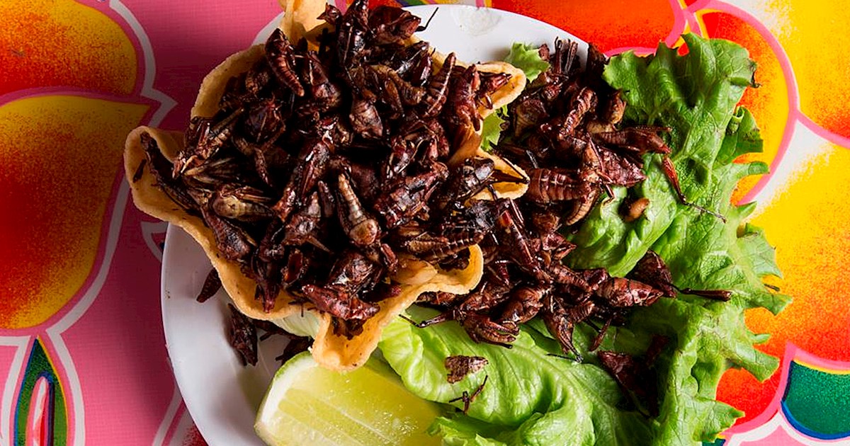 Chapulines In Guelaguetza | TasteAtlas | Recommended authentic restaurants