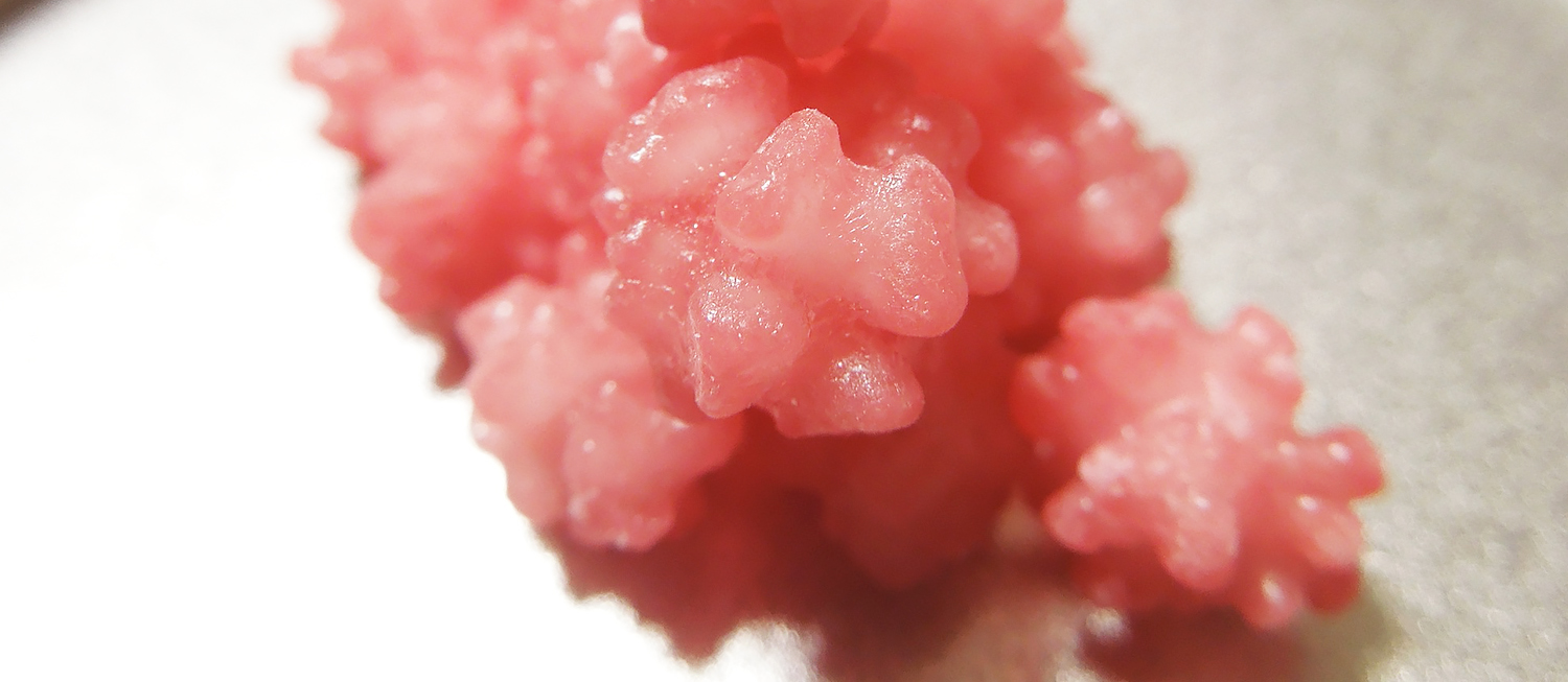 Konpeitō | Traditional Dessert From Japan