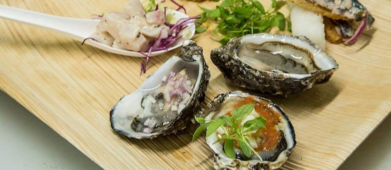 Tuna Toss | Competition in Port Lincoln | Where? What? When?