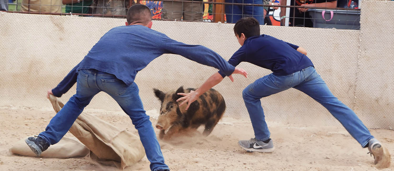 Wild Hog Explosion! | Meat festival in Bandera | Where? What? When?