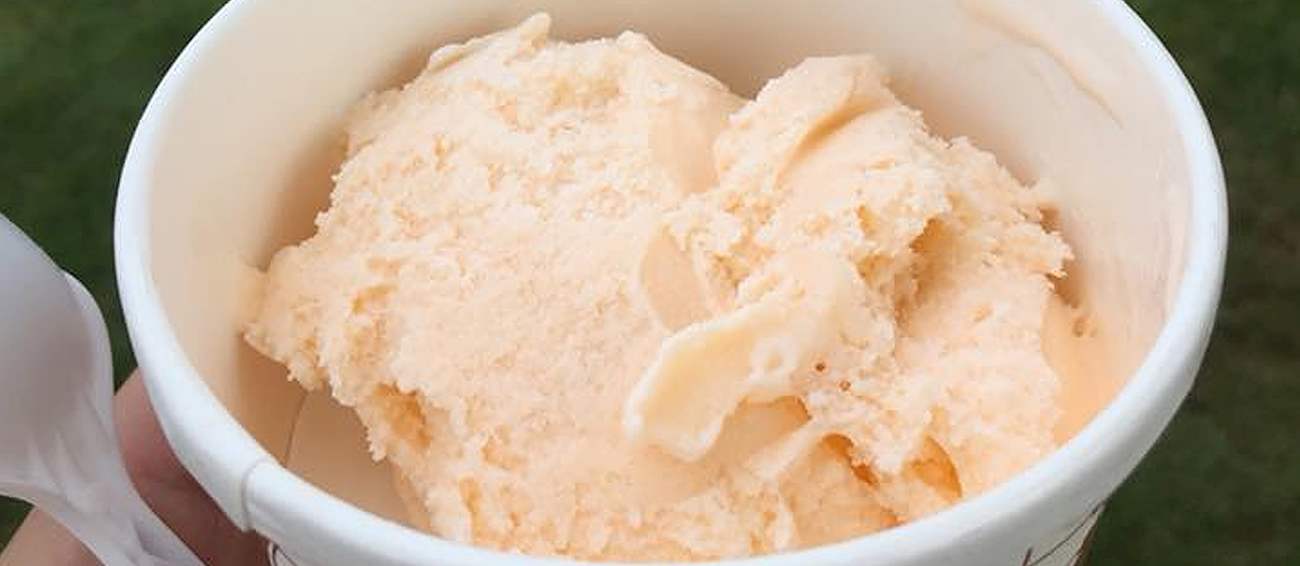 Howell Melon Festival | Fruit festival in Howell | Where? What? When?