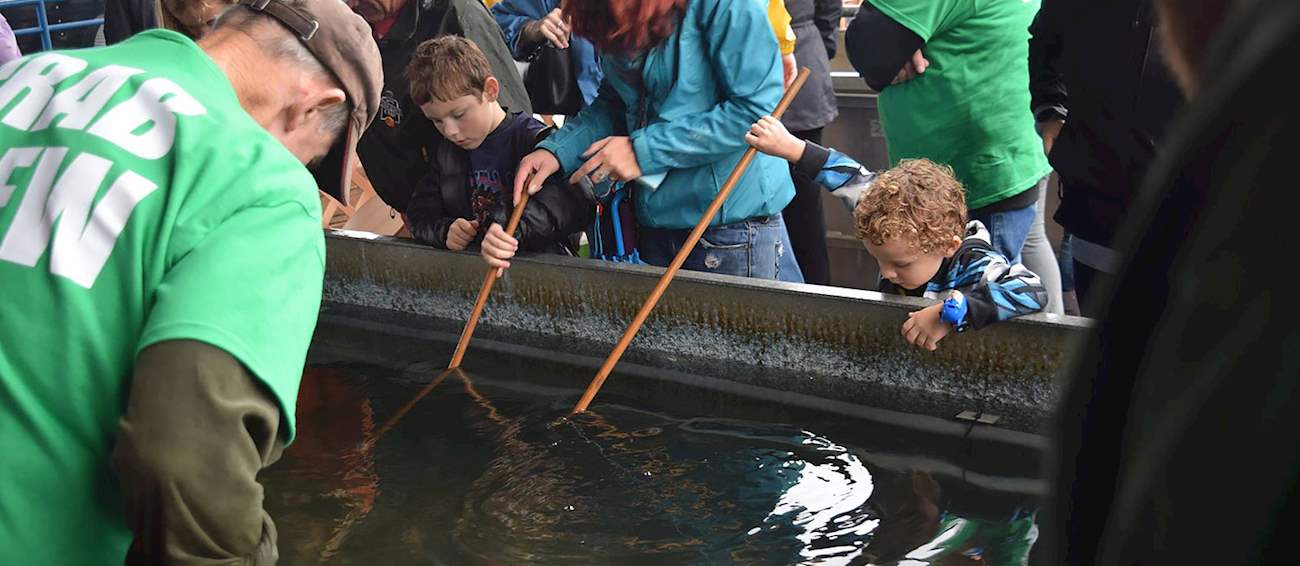 Dungeness Crab & Seafood Festival | Seafood festival in Port Angeles ...