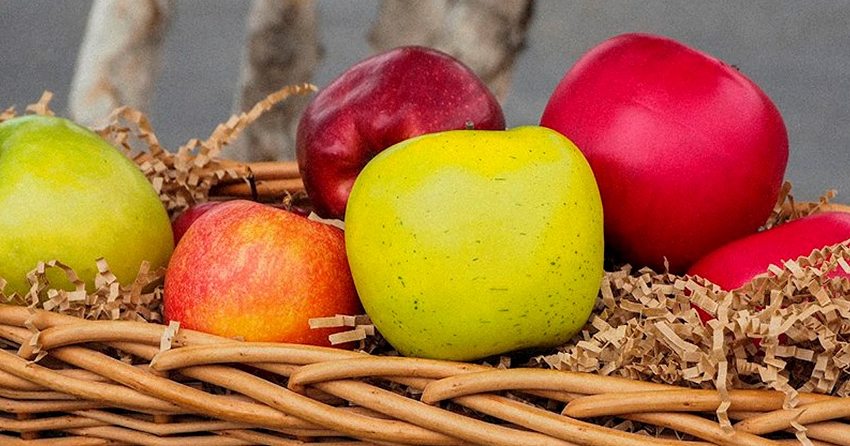 Avila Apple Festival | Fruit festival in Avila Beach | Where? What? When?
