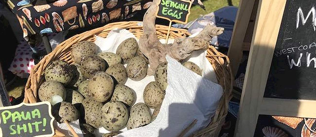 Wildfoods Festival | Weird food festival in Hokitika | Where? What? When?