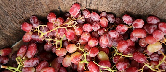 Eat Local in Grapevine