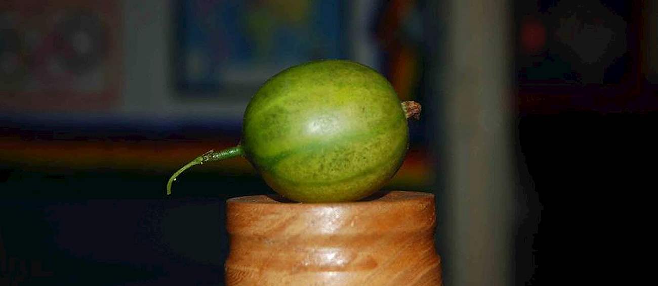 Egton Bridge Gooseberry Show | Fruit festival in Egton Bridge | Where ...