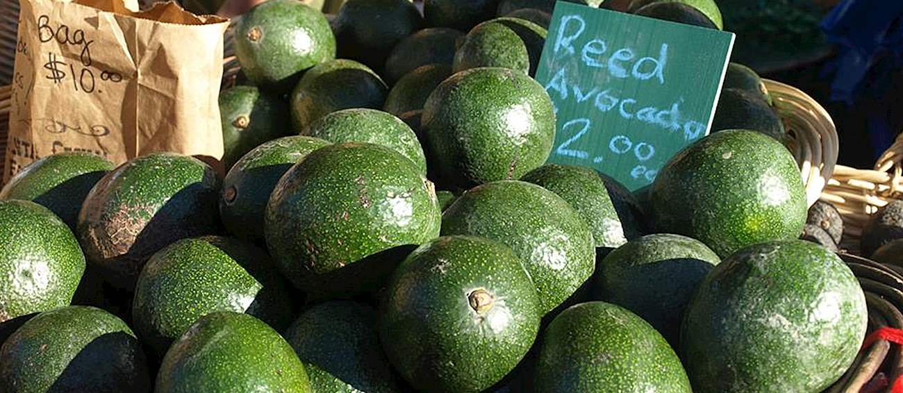 California Avocado Festival | Fruit festival in Carpinteria | Where ...