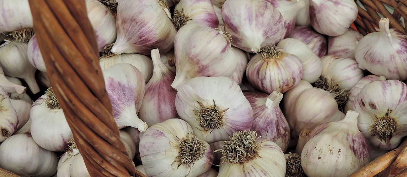 Grindrod Garlic Festival | Vegetable festival in Grindrod | Where? What ...