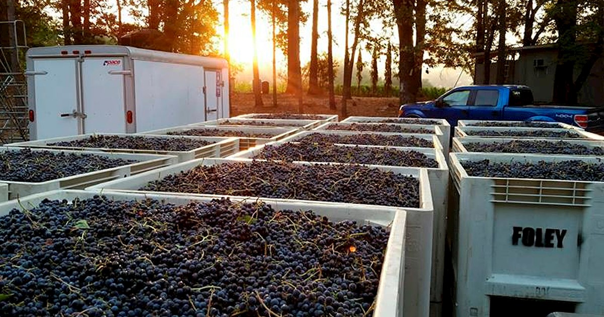 Boston Wine Expo | Wine festival in Boston | Where? What? When?