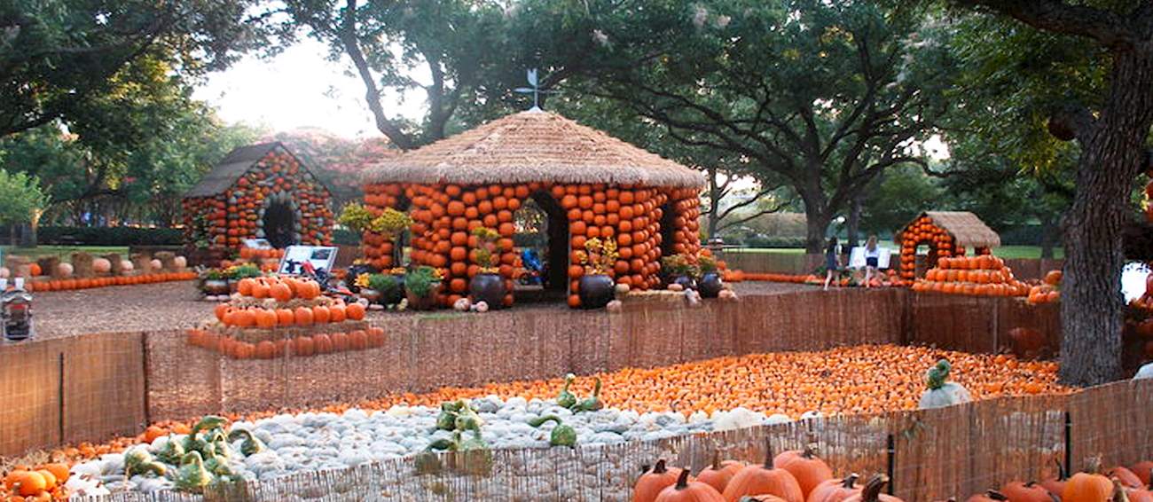 Autumn at the Arboretum | Fruit festival in Dallas | Where? What? When?