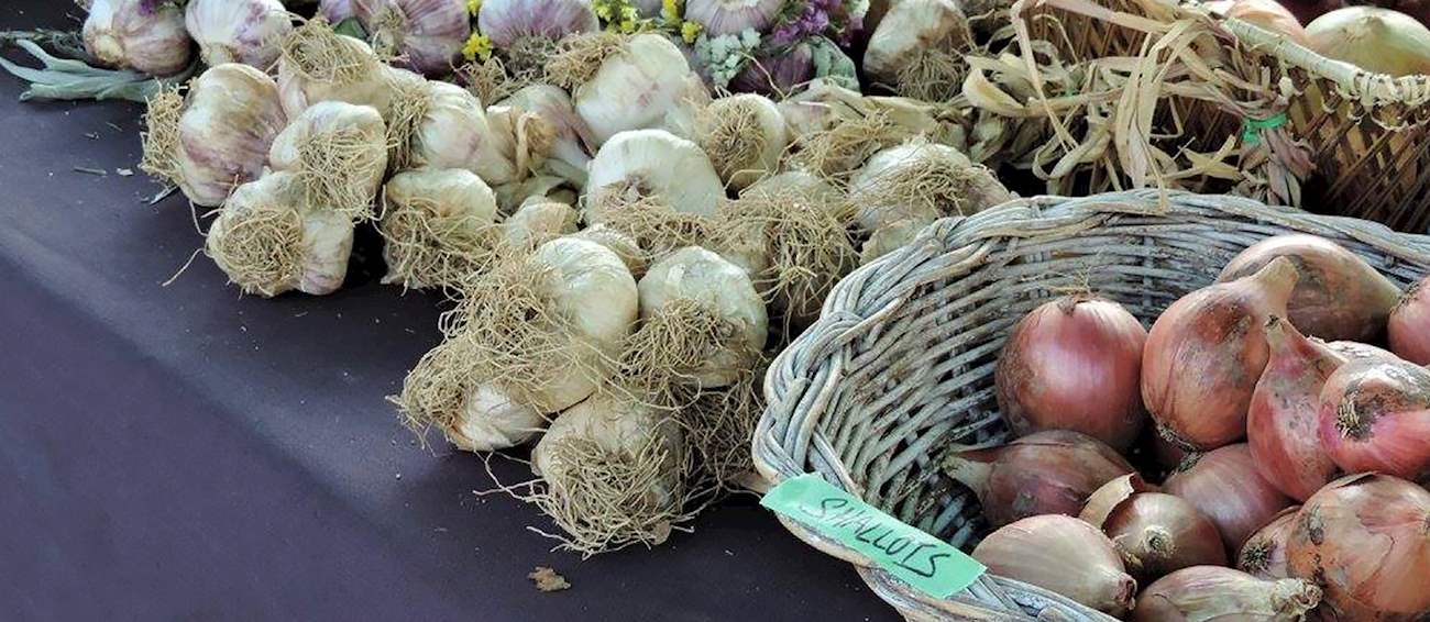 Grindrod Garlic Festival | Vegetable festival in Grindrod | Where? What ...