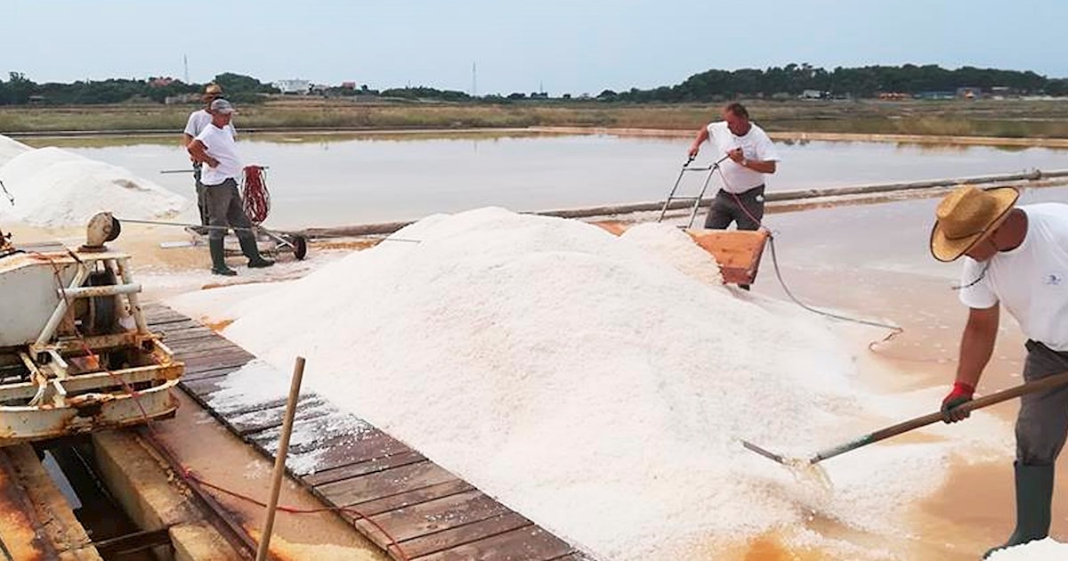 Festival of Salt | Condiment festival in Nin | Where? What? When?