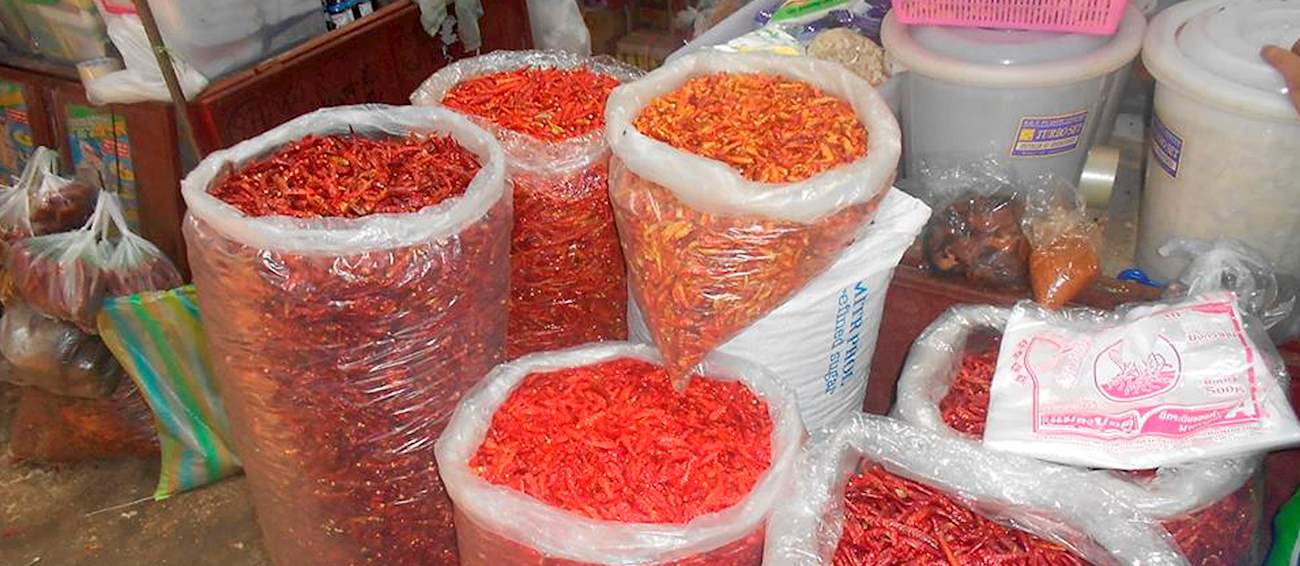 Bath Chilli Festival | Vegetable festival in Bath | Where? What? When?