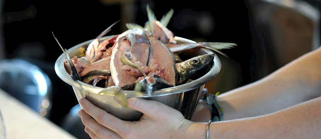 Slow Fish | Seafood festival in Genoa | Where? What? When?