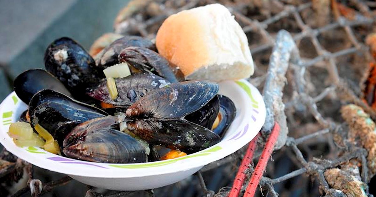 Gwledd Conwy Feast | International food festival in Conwy | Where? What ...