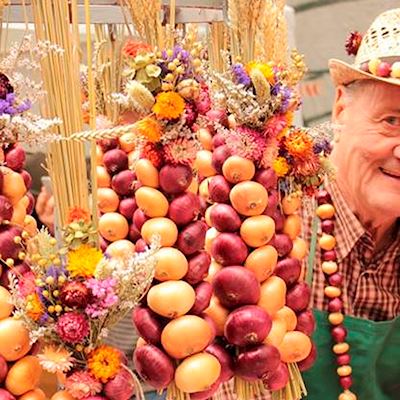 German Vegetables: 18 Vegetable Types in Germany | TasteAtlas