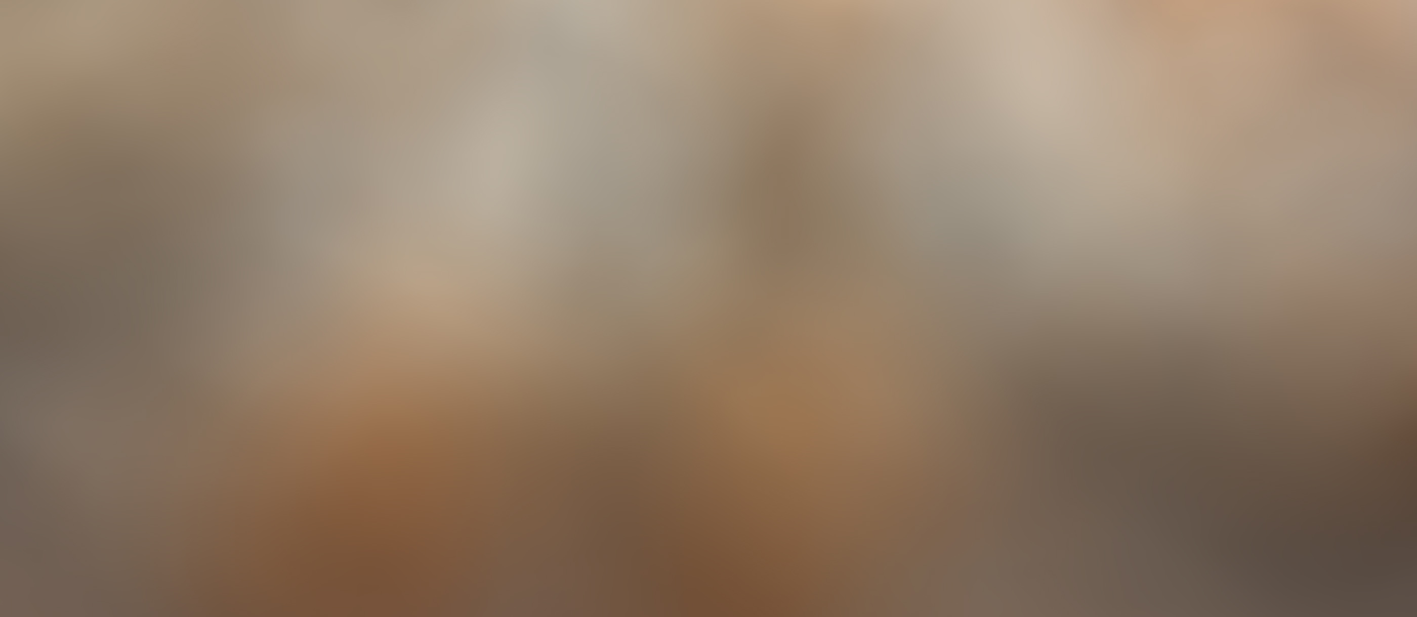 Ducks of the World Map | TasteAtlas