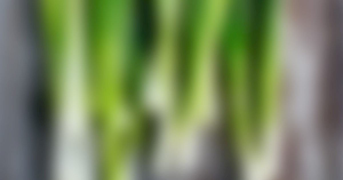 Western European Scallions Map | TasteAtlas