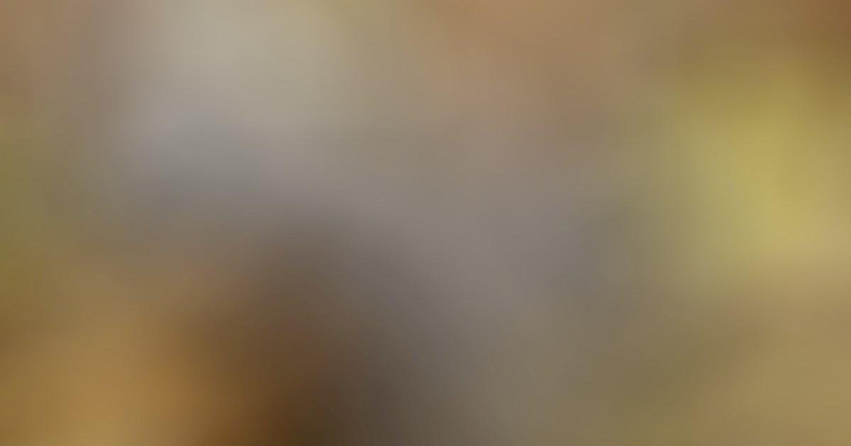 Costa Rican Rabbits: 0 Rabbit Types in Costa Rica | TasteAtlas