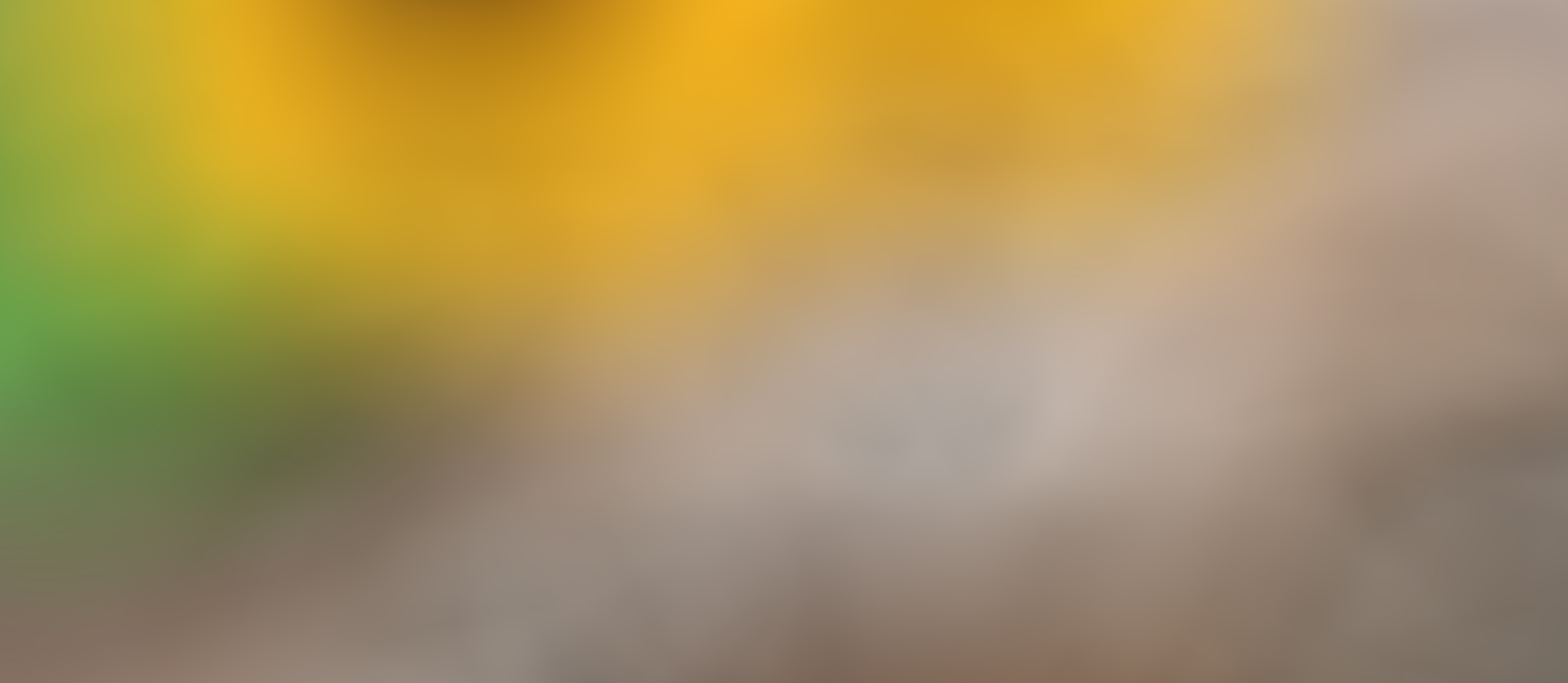 Sunflower Seeds of the World Map | TasteAtlas