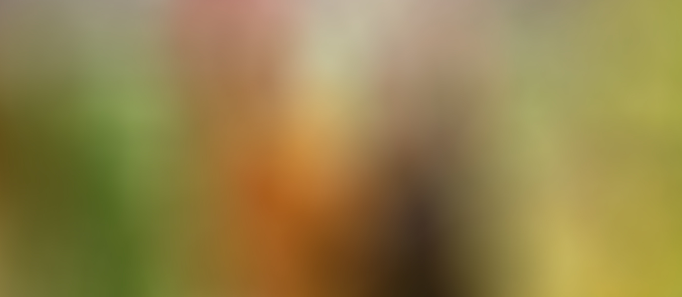 European Beers (Brands) Map | TasteAtlas