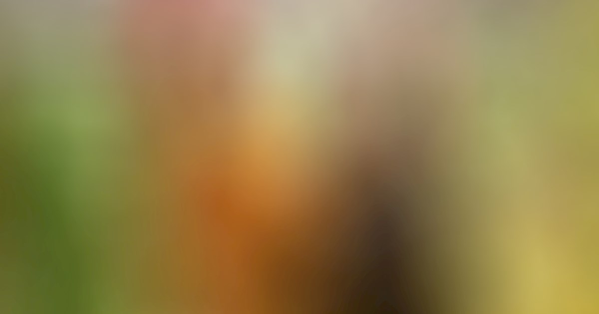 European Beers (Brands) Map | TasteAtlas