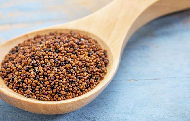 Grains of the World: 45 Grain Types | TasteAtlas