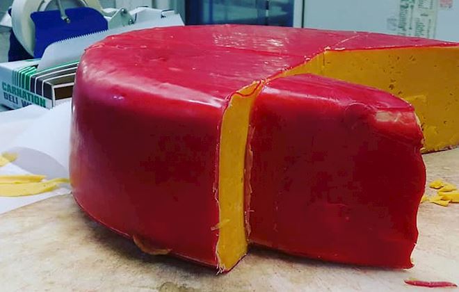 North American Cheeses: 311 Cheese Types in North America | TasteAtlas