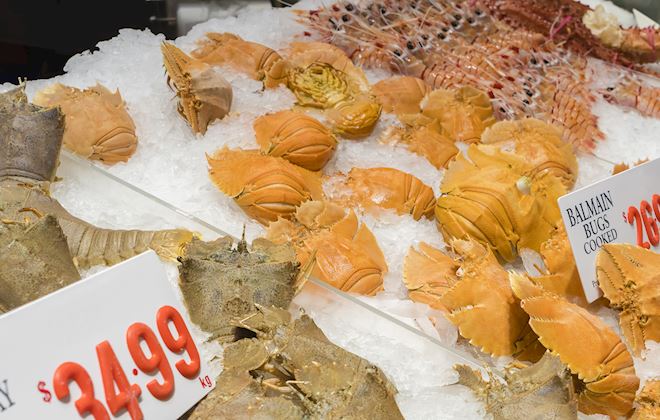 Shellfish of the World: 47 Shellfish Types | TasteAtlas