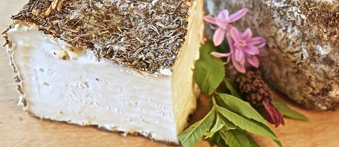 Brin D'Amour | Local Cheese From Corsica, France