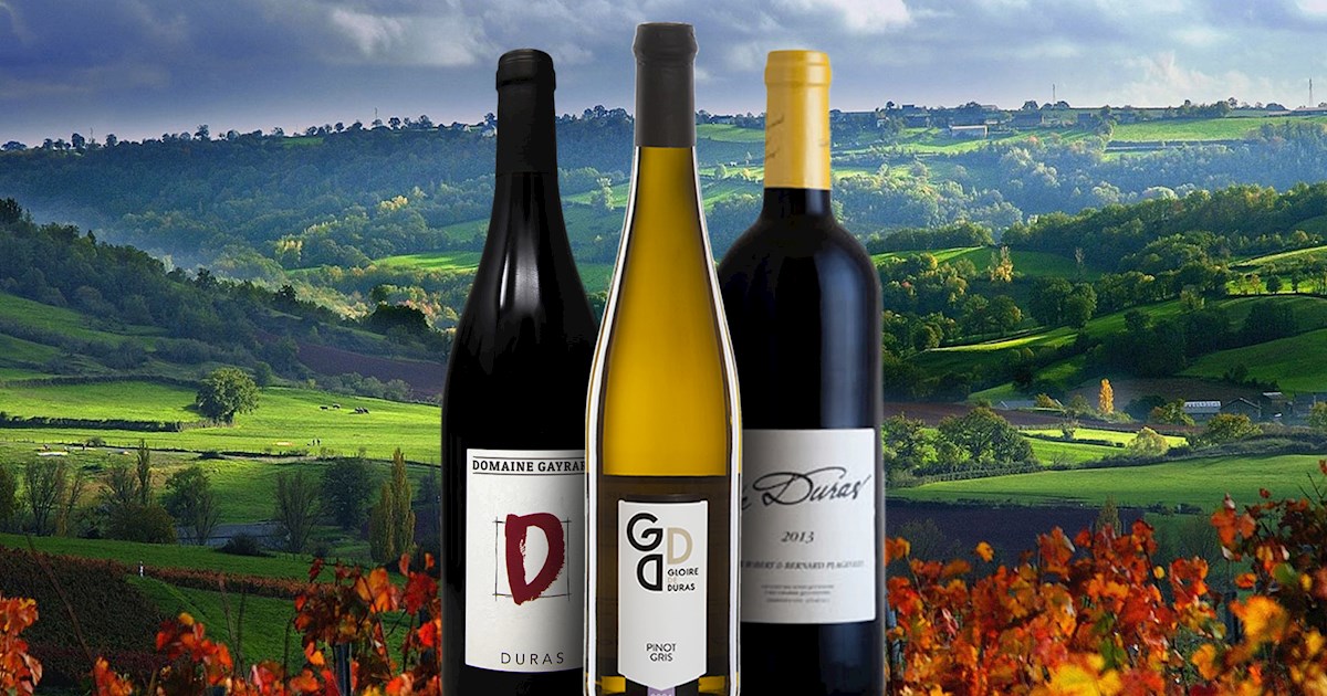 Duras | Local Wine Variety From Tarn, France