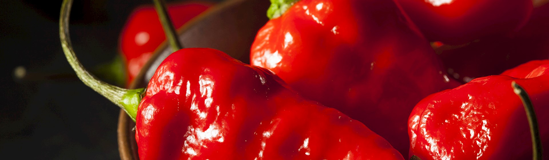 3 Best Hot Peppers in India - TasteAtlas