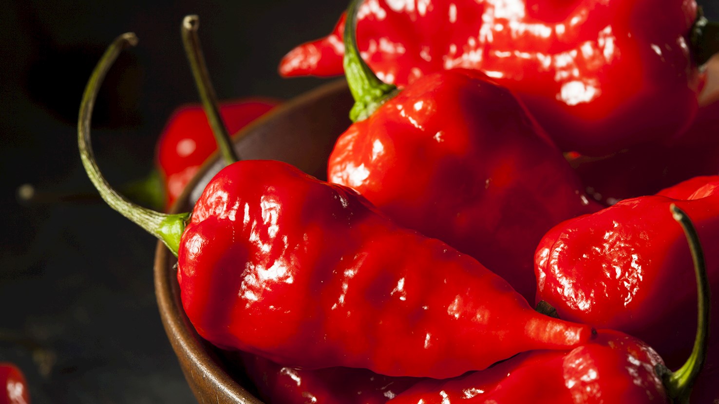 3 Best Hot Peppers in India - TasteAtlas