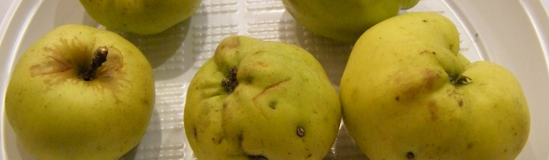17 Best Pome Fruits in France - TasteAtlas