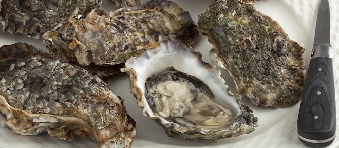 British Shellfishes: 12 Shellfish Types in United Kingdom | TasteAtlas