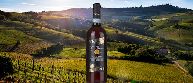 Wine Varieties of Metropolitan City of Turin: 4 Metropolitan City of ...