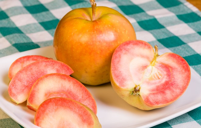 North American Apples: 54 Apple Types in North America | TasteAtlas