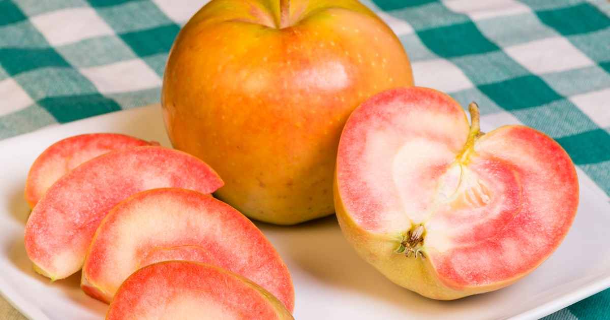 Pink Pearl Apples | Local Apple Variety From Eureka, United States of ...