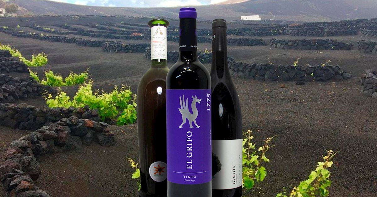 Canarian Alcoholic Beverages: 6 Alcoholic Beverage Types in Canary ...