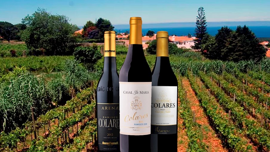 100 Best Red Wines in Portugal - TasteAtlas