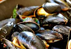 Mussels of the World: 6 Mussels Types | TasteAtlas