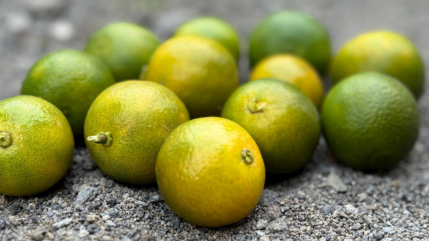 4 Best Fruits in the Philippines - TasteAtlas