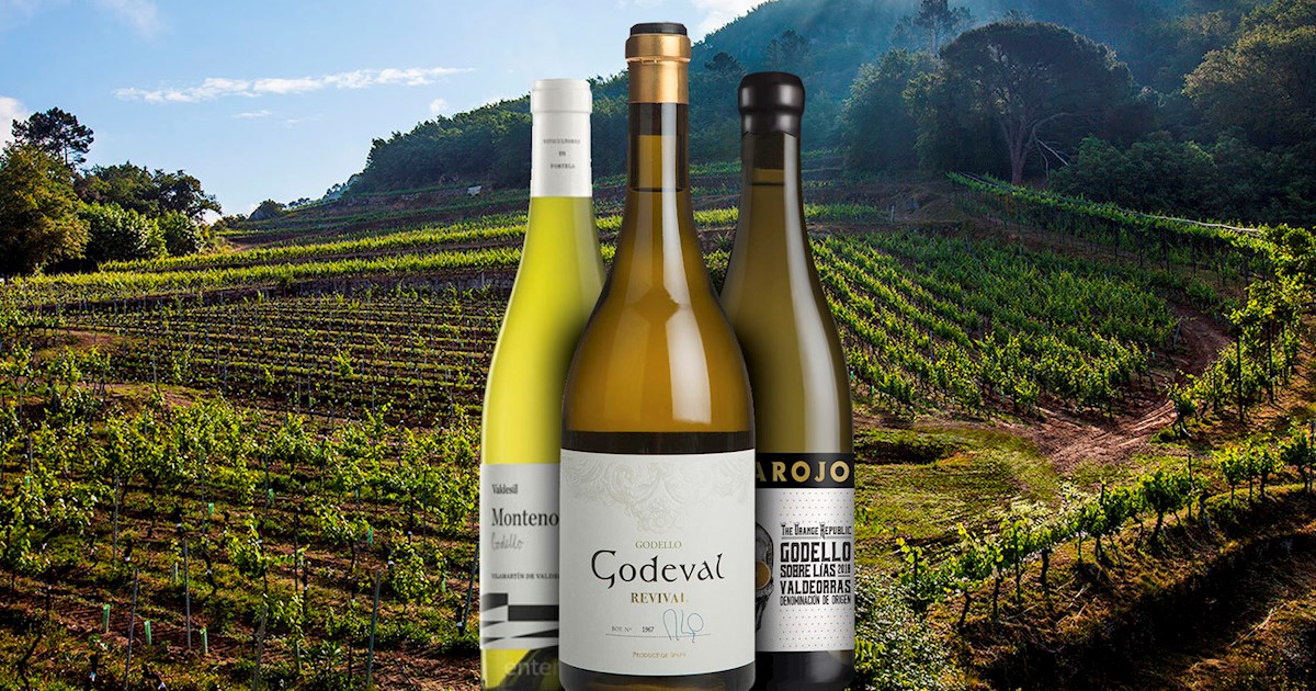 Godello | Local Wine Variety From Province of Ourense, Spain