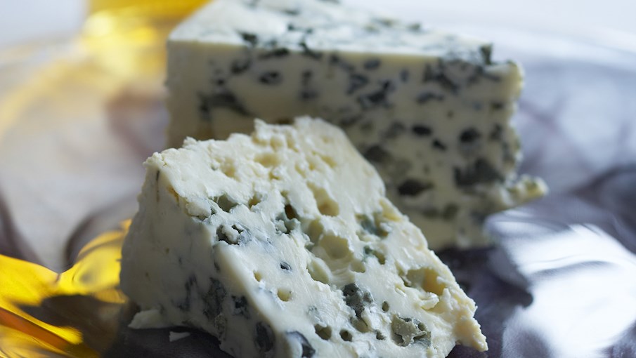 6 Most Popular Bavarian Natural Rind Cheeses - TasteAtlas