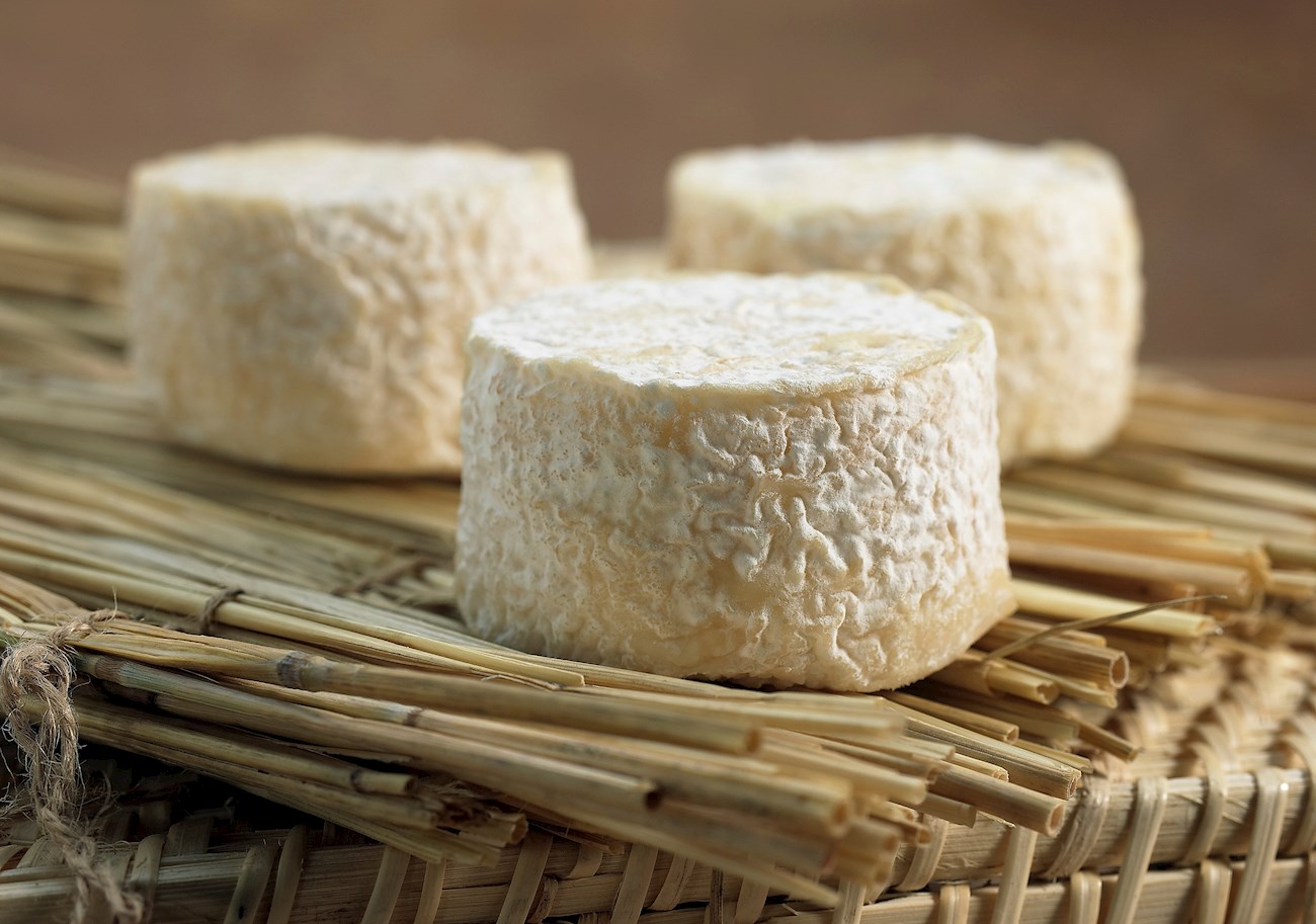 Crottin du Morvan | Local Cheese From Yonne, France