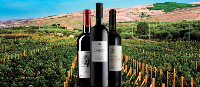 Italian Grapes: 60 Grapes Types in Italy | TasteAtlas