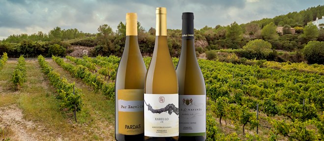 Catalan Wines: 9 Wine Types in Catalonia | TasteAtlas