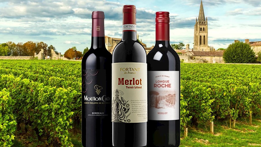 8 Best Wines in Bordeaux - TasteAtlas